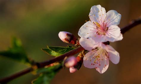 颜色代码大全 老小孩讲述