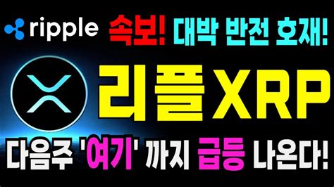 리플xrp전망⭐오늘밤 뒤집어지나 미정부 규제 충족과 조정 마무리 분기점 이번달 최소 여기까지 상승 예상됩니다 리플 리플