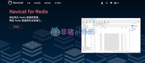 Navicat官网一款功能非常强大的跨平台数据库管理软件 别摸鱼导航