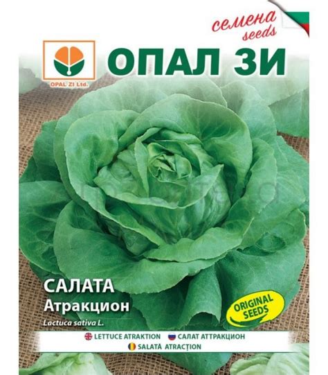 Семена САЛАТА АТРАКЦИОН ⊶ Цена ∴ Онлайн - Агроаптека Младост