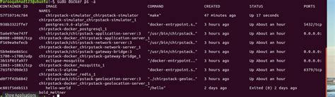 Chirpstack Simulator Chirpstack Application Server Chirpstack