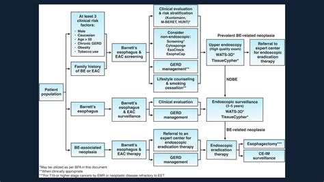New Advances In Surveillance And Screening In Barretts Esophagus