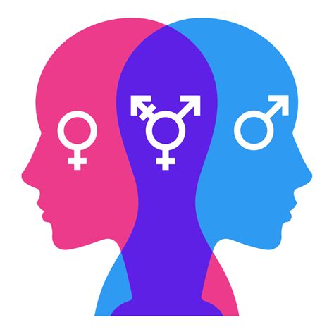 Understanding Gender And Sexual Identity Aauw Naperville Area Il Branch