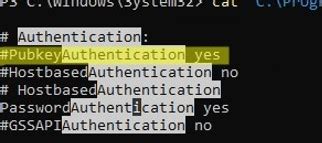 Configuring SSH Public Key Authentication on Windows | Windows OS Hub