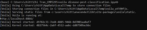 Voila Cant Be Started Issue Voila Dashboards Voila GitHub