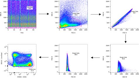 Beginner Gating Strategies To Start Analyzing Your Flow Cytometry Data