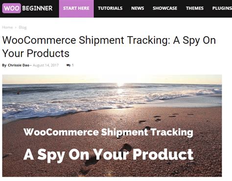 11 Sources To Get The Best Woocommerce Support Everywhere In The Web B2b Website Platform