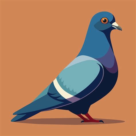 Pigeon Vector Illustration Flat 2 Premium Ai Generated Vector