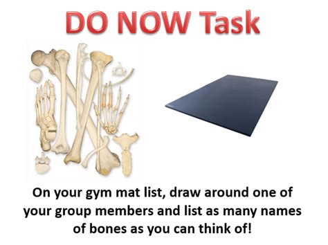 Gcse Aqa Pe Skeletal System Lesson Teaching Resources