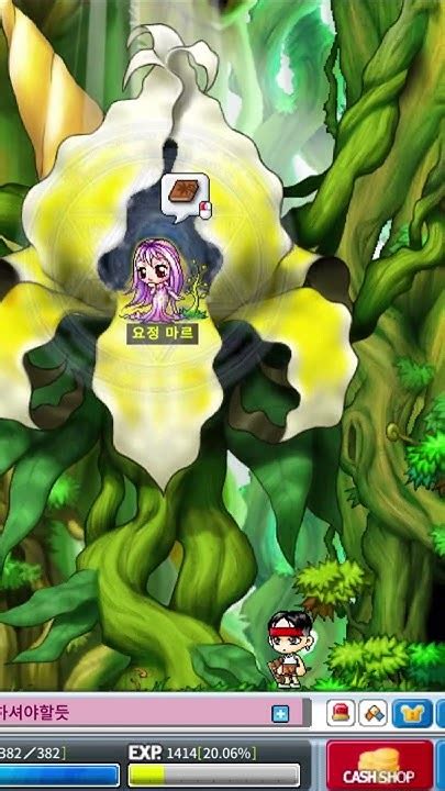 달펭이 펫 받는 법 메이플랜드 메이플스토리 메이플 달팽이 무료펫 Youtube