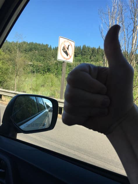 What Happens When Vogons Build Bypasses Rdontpanic