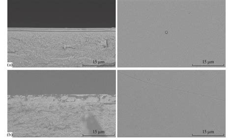 Micrographs Of The Cross Section And Surface Of Laboratory Composite