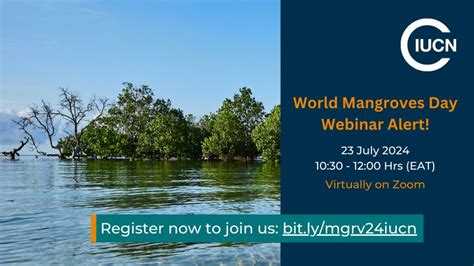 Iucn Eastern And Southern Africa On Linkedin Worldmangrovesday