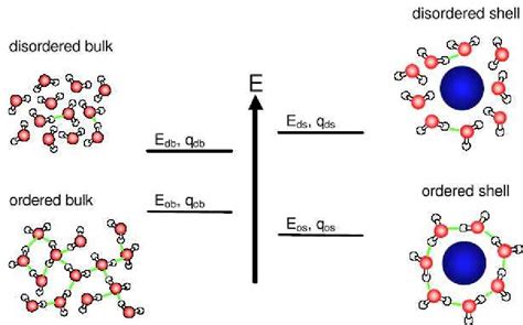 Figure 2 From Role Of Solvent For Globular Proteins In Solution Semantic Scholar