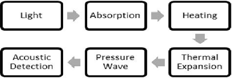 Basic Principle Of PAS Process Download Scientific Diagram