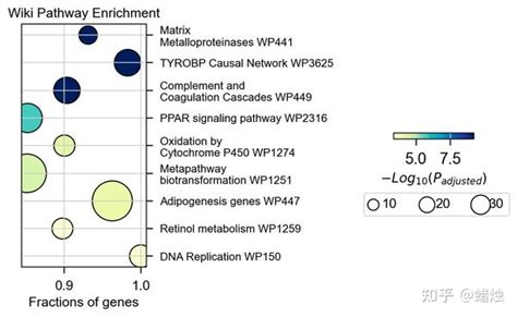 Python版RNA seq分析教程DEseq 差异表达基因分析 知乎