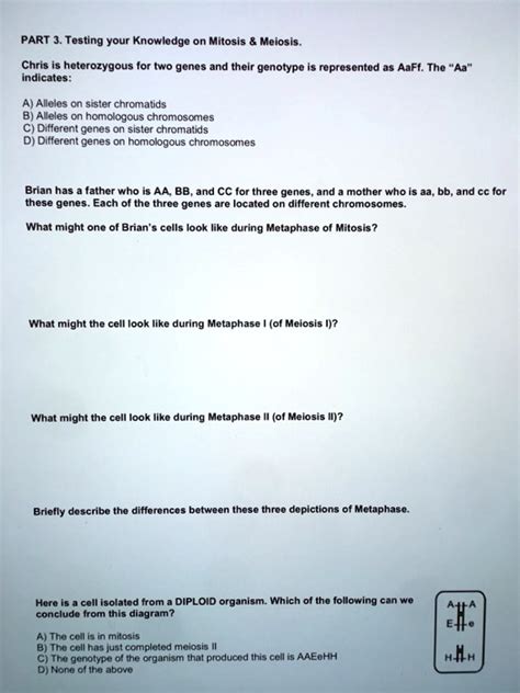 Solved Part Testing Your Knowledge On Mitosis Meiosis Chris Heterozygous For Two Genes And