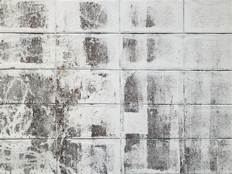 Premium Photo Wall House Texture And Material