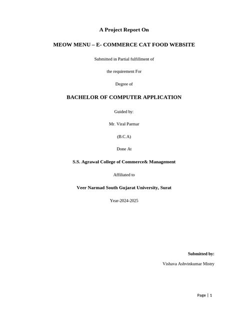 Project Documentation Pdf Php Password