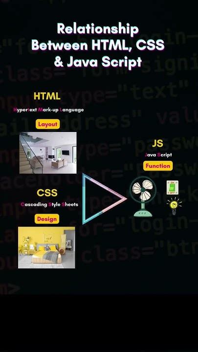 Relationship Between Html Css Javascript For Beginners Shorts