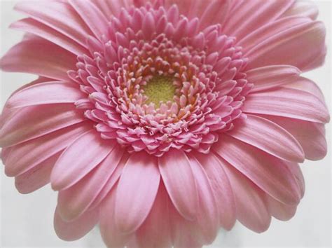 Sex Vulnerability And Power Psychology Today