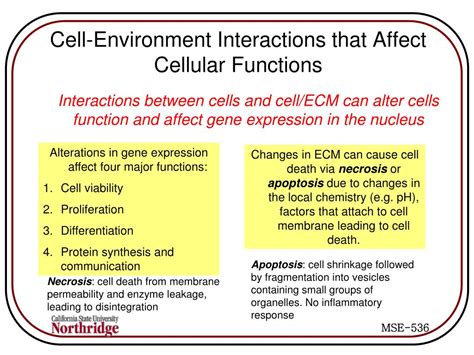 PPT Cell Interactions With Biomaterials PowerPoint Presentation Free Download ID 2087147