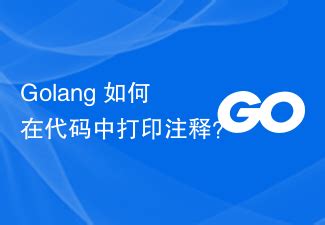 How To Print Comments In Code In Golang Golang Php Cn