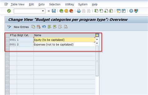 Define Budget Category In SAP