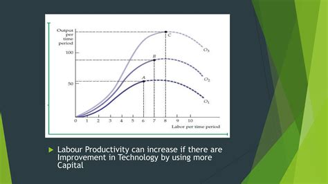 Production Function In One Variablepptx
