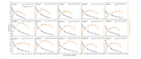 Polarization Curves Black Circles And Power Density Curves Orange