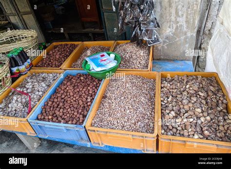 Betel Nut Different Types And Cuts Preparation Of Betel Nut Ready To
