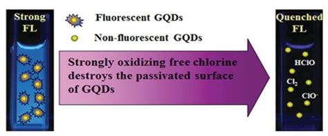 The Gqd Based Nano Sensor Quenches Fluorescence In This Illustration