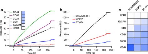 Molecular Screening Of Exosomes With Immunosensor Chips A Multiplexed