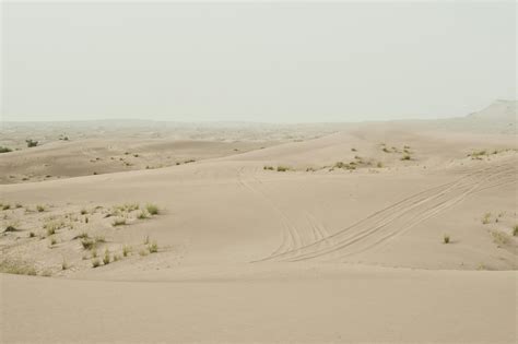 갈색 건조한 격리 경치 경치 좋은 전망 경치가 좋은 고요한 고요함 광야 광활한 따뜻한 음색 맑은 하늘 메마른 명확한 지평선 모래 모래 언덕