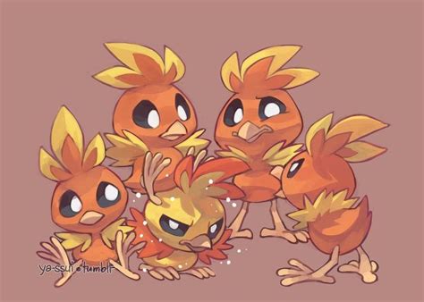 Torchic Pokemon Starters Pokemon Art Pokemon