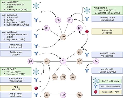 Targeting Integrins In Drug‐resistant Acute Myeloid Leukaemia Ogana