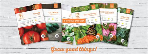 Bentley Seeds Home Garden Vegetable And Flower Seeds