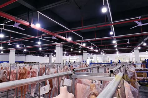 Why Choose Irontech Doll