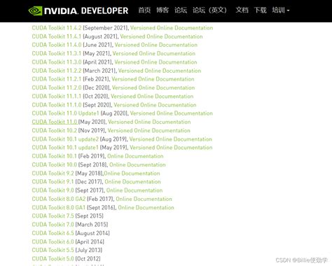 Cuda安裝教程（超詳細） Cuda設置 大韻熱點資訊