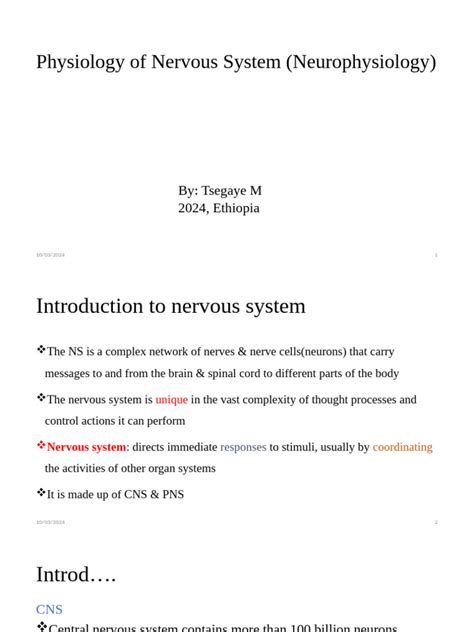 Neurophysiology Pdf