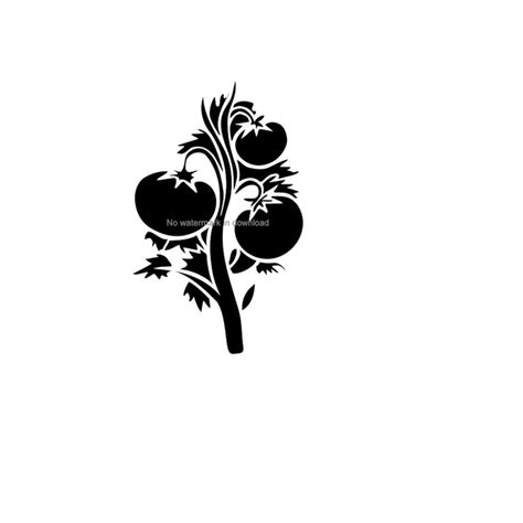 Tomato Svg Inspire Uplift