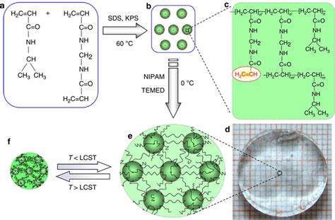 Hydrogel Schematics With Nano Structured Architecture A Chemical Hydrogel Schematics With Nano Structured Architecture A Chemical