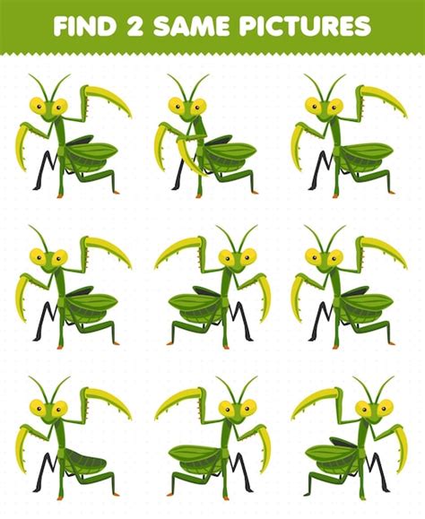 Образовательная игра для детей найди две одинаковые картинки милого мультяшного зеленого