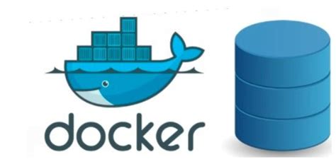 persistent data in docker volumes