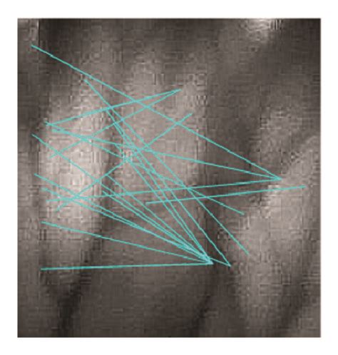 Illumination Of Mm With Random Selected Vein Images A Original Vein Download Scientific