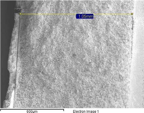 Sem Cross Section Image Of The Ni Fe Anode Supported Sofc With Download Scientific Diagram