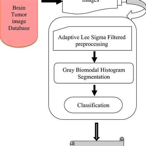 Gray Bimodal Histogram Segmentation A Input Preprocessed Brain Mri