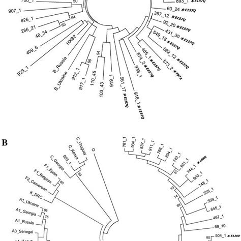 maximum composite likelihood inferred trees showing phylogenetic