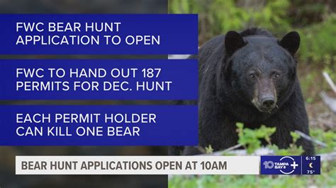 Florida Bear Hunting Permit Application Now Open