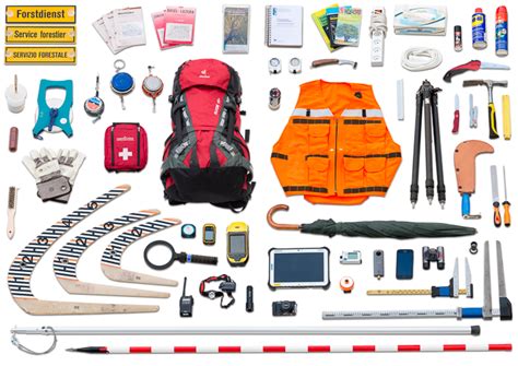 nfi field surveys
